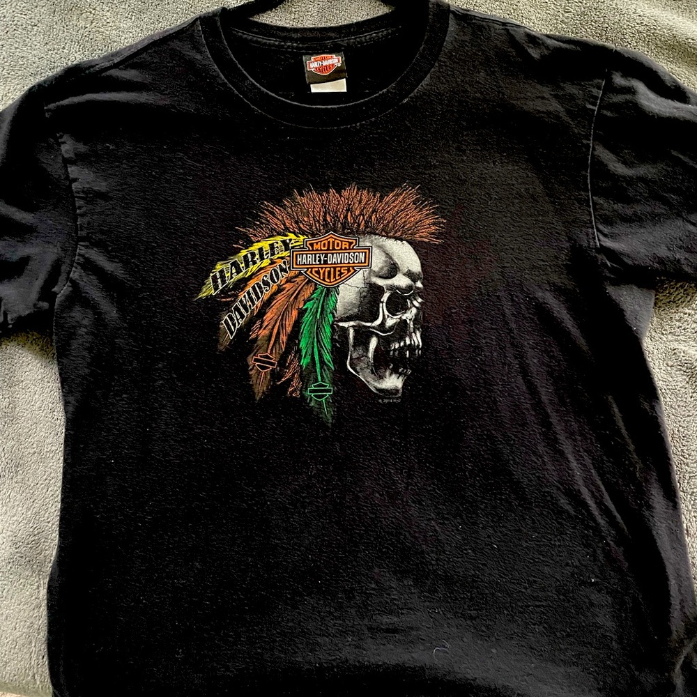 Harley Davidson Wildfire Villa Park Illinois Large Bl… - Gem